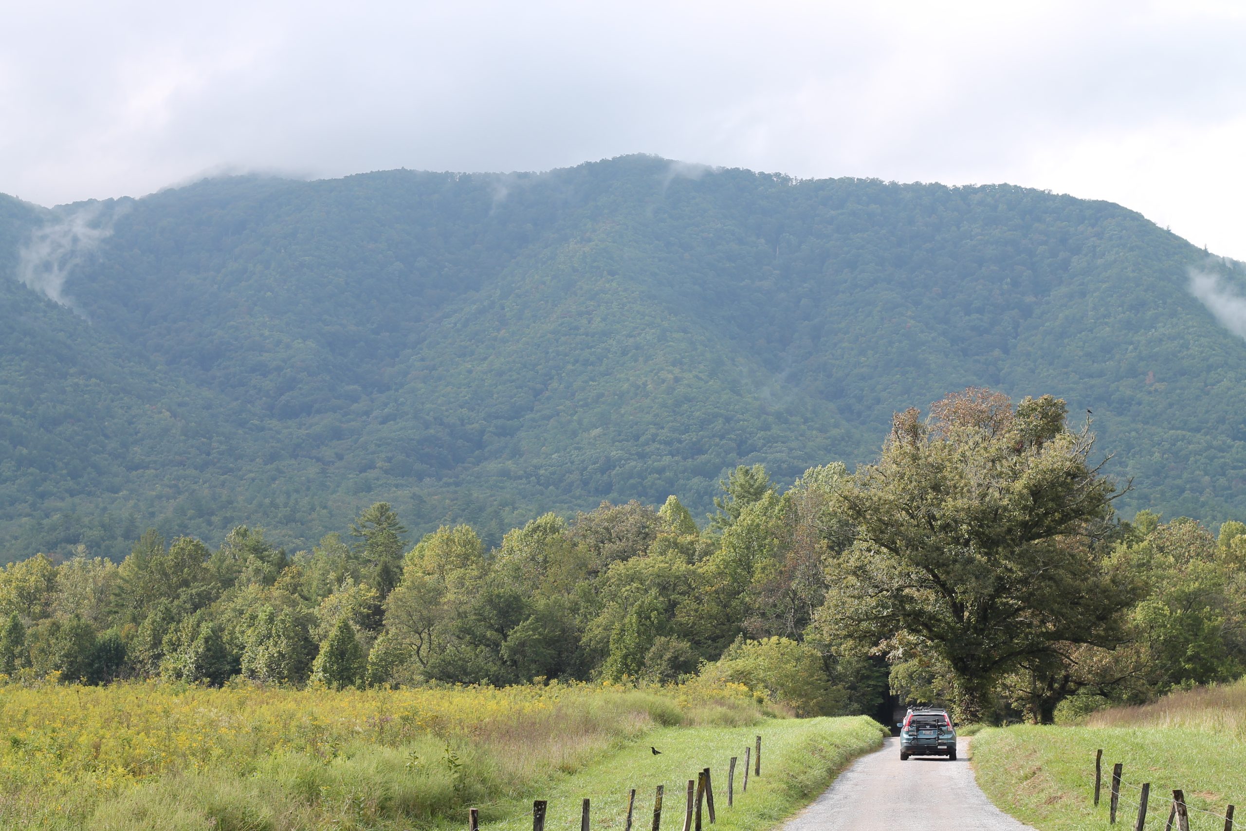 First-Timer’s Guide to Cades Cove - Miles With Madison