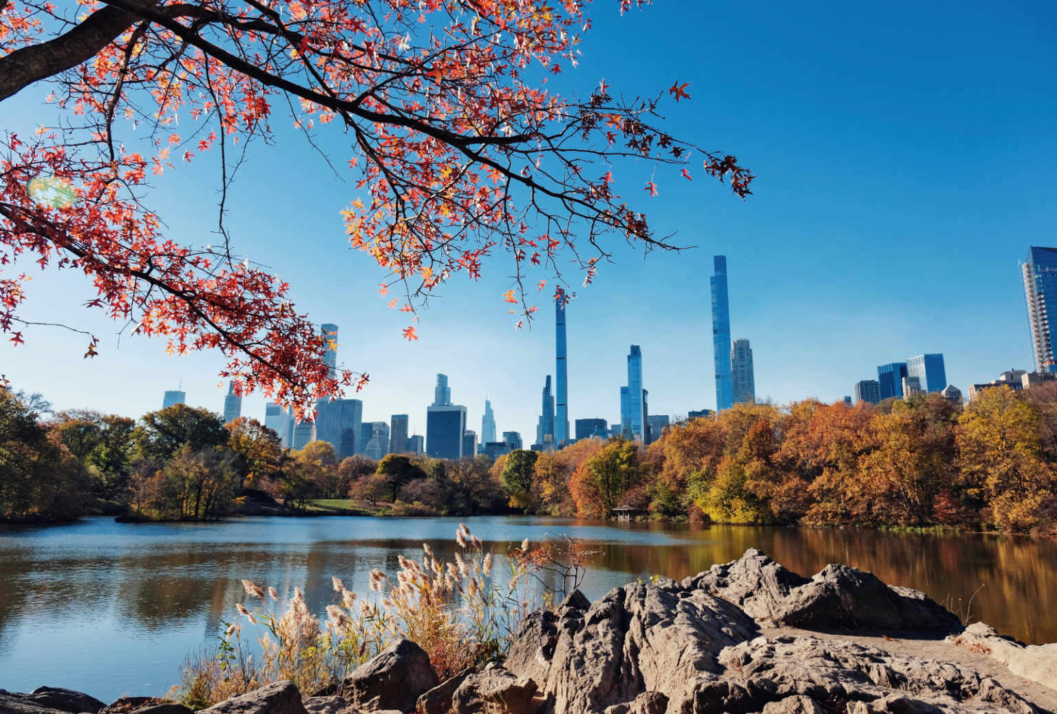 New York City Thanksgiving Itinerary: 3 Day Guide - Miles With Madison
